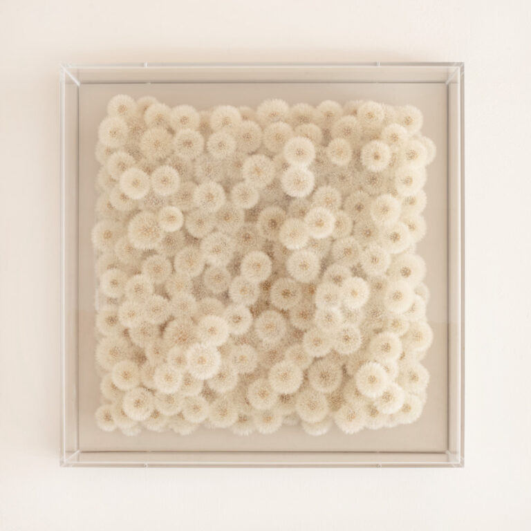 Portfolio ‘Natural Art’ in the form of wall objects - Hilde Trip