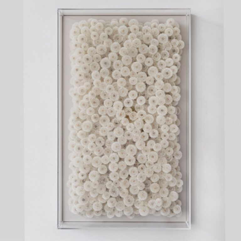 Portfolio ‘Natural Art’ in the form of wall objects - Hilde Trip